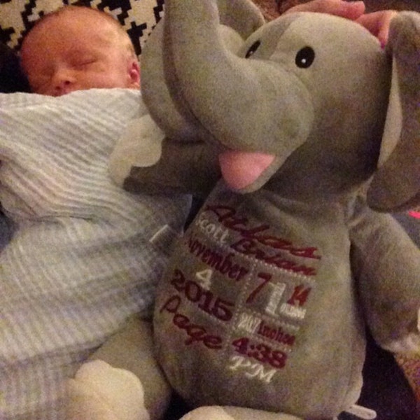 Birth Announcement Stuffed Animal - Embroidered Stuffed Animal - Baby ...