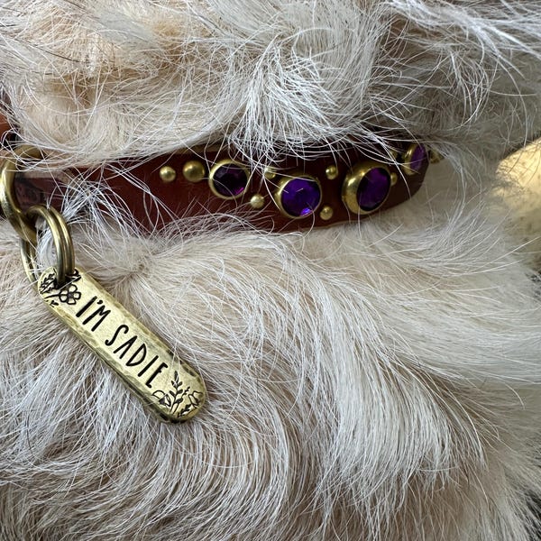 Mini Dog Tag for Dogs, the Bean, Dog Tag, Kidney Bean, Personalized ...