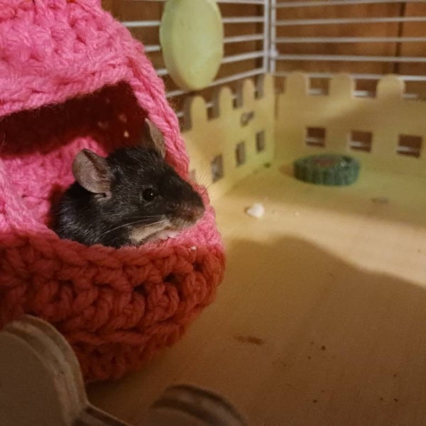 Bearded Dragon Candy Corn Costume Sweater, Halloween Lizard Sweater ...