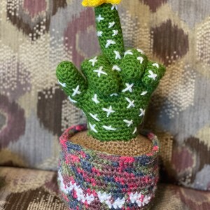Cactus Hand CROCHET PATTERN / Amigurumi Cactus PDF English - Etsy Canada