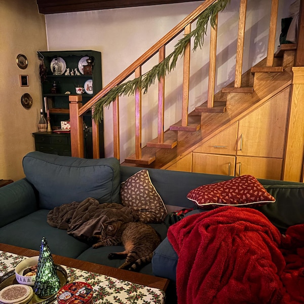 Whimsical Strawberry String Lights | Cascade Light Garland | Indoor ...