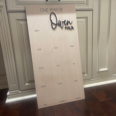 One Year of Baby First Birthday Sign First Birthday Display Milestones ...