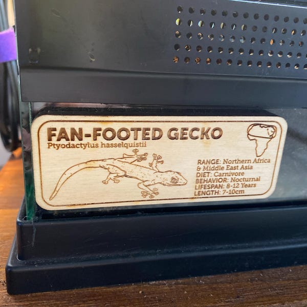 Wooden CREATURE PINS | Any Species | Custom Reptiles Amphibians ...