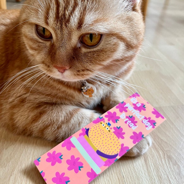 2025 Cat Calendar - Etsy