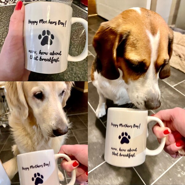 D and D Meme Mug // Dungeons and Dragons Mug // Meme Mug // Dungeons ...