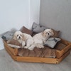 XL Wooden Corner Dog Bed in Grey Jumbo Cord With Matching Cushions - Etsy