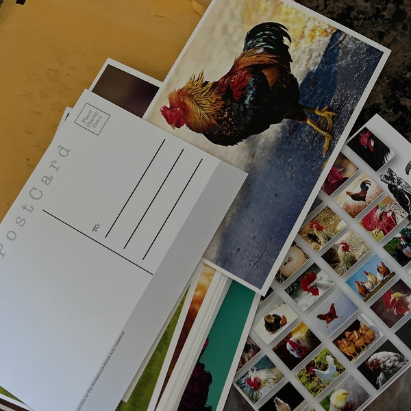 25 Postcard Set - Poetic Color Palettes - Inspiration for Artists Great ...