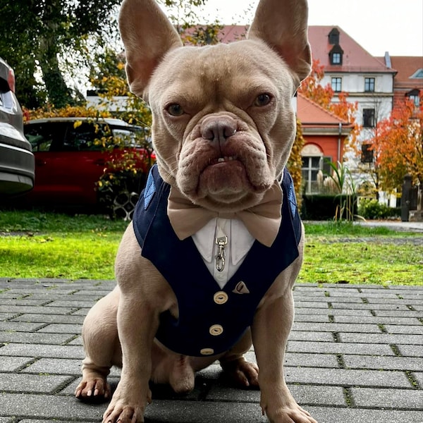 Wedding Day Dog Suit Attire for Dogs, Suit Harness for Dogs, Special ...