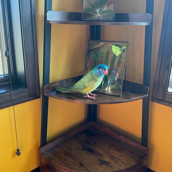 Northern Mockingbird - Felting Realistic Toy - the State Bird of ...