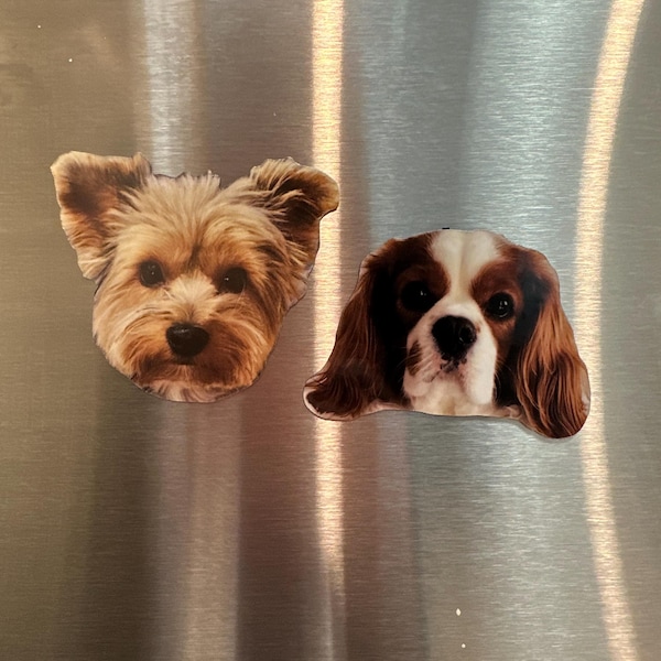 Personalized Baby Magnet - Baby Refrigerator Magnet - Custom Baby ...