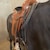 Ready to Ship Single Pommel Saddle Bag for a Western Saddle Horn Bag ...
