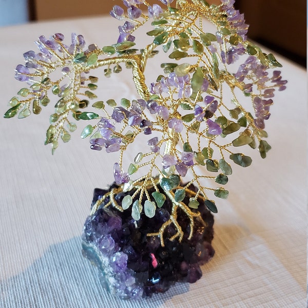Miniature Jacaranda Gem Tree - Etsy