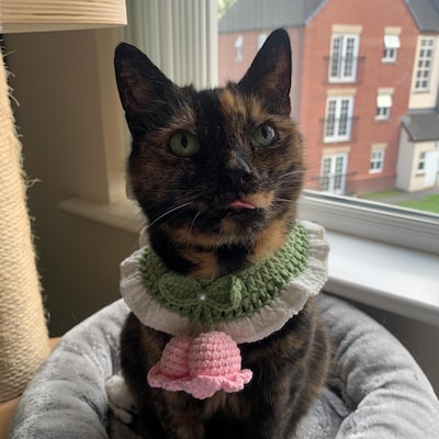 Handmade Fish Cat Collar Knit Star Cat Collar Tie up Pet Collar Crochet ...