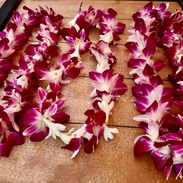 Fresh Lei "orchid Lei" From Hawaii! - Hawaiian Lei - Choose Your ...