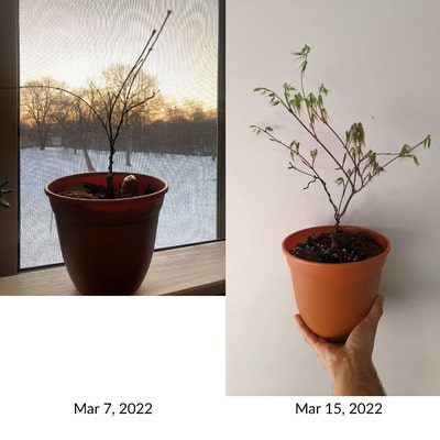 Set of 2 Resin Wave Tables Beach Resin Wave Tables Made in - Etsy