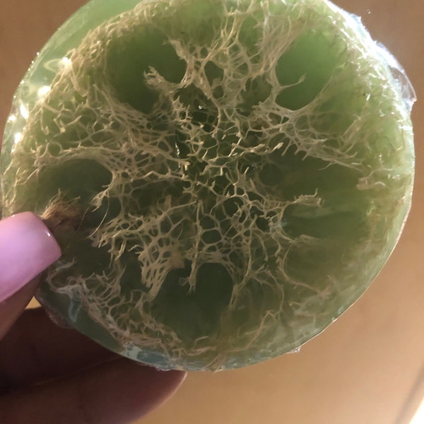 8 Oz. Pulverized Powder Loofah - Etsy