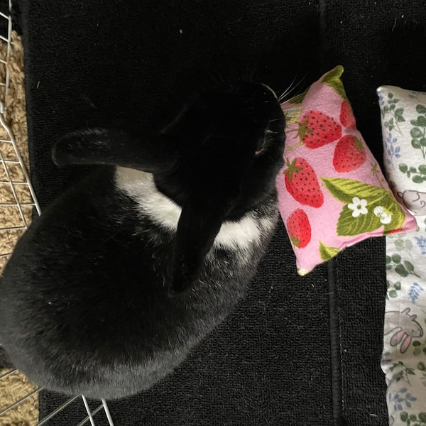 Bunny Toss Pillow Toy, Small Pet Toy, Rabbit Enrichment Toy, Mental ...