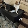 Wooden Elevated Dog Bed Extension - Easy Assembly. No Tools Required - Etsy