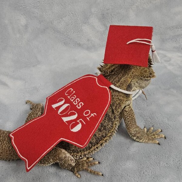 Bearded Dragon Graduation Cap and Gown - Etsy