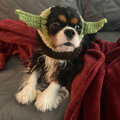 Baby Yoda Snood Cavalier Spaniel Snood Cocker English Toy Spaniel Snood ...