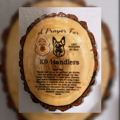 Ferris ISD Texas Police Officer Badge TX School Law - Etsy