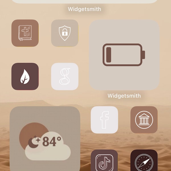Aesthetic Boho Desktop Folder Icons, Mac + Windows Folders Icon, Boho ...
