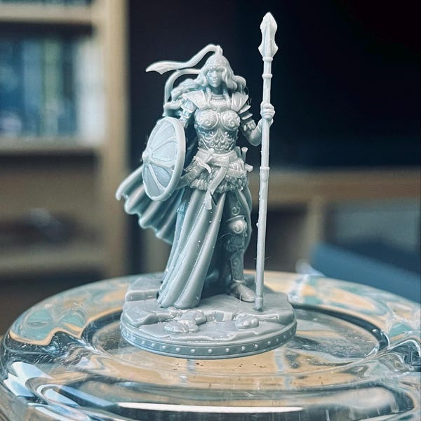 Jingwei the Monk Kickboxer 8K D&d/pathfinder 75mm 100mm Miniature ...