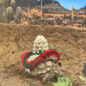 Mariachi Sombrero Turtle/tortoise Costume - Etsy