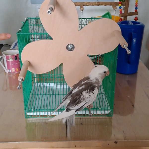 Rotating Flower Perch Wheel With Food Holders for Birds, Foraging Swing ...