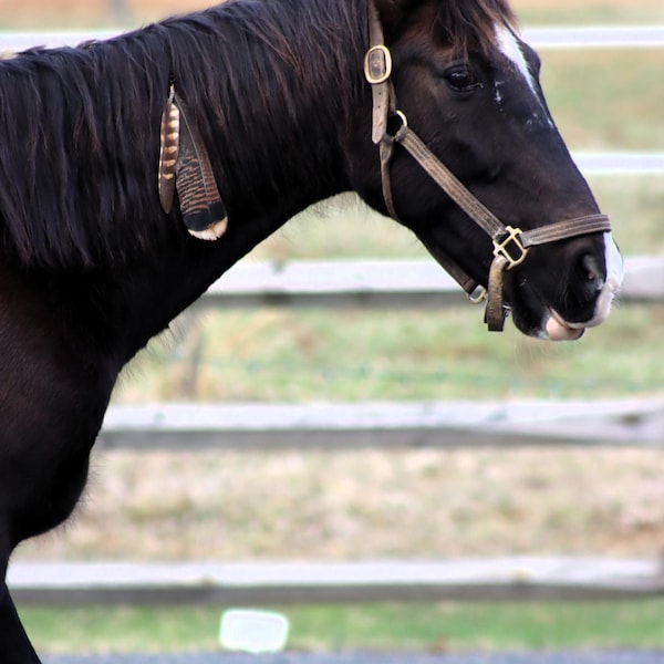 Saddle Clip Handmade, Bridle Clip, Genuine Stone, Equine Bling ...