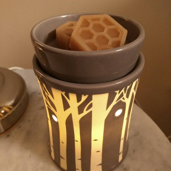 30g & 50g Filled Round Glass Jars : Honey, Petals, Beeswax Candle ...