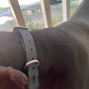 Biothane E-collar Strap - Etsy