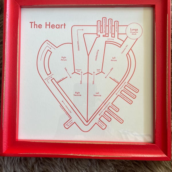 Tea Types Letterpress Chart 8"x8" - Etsy