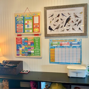 California Backyard Birds Field Guide Art Print / Watercolor Painting ...