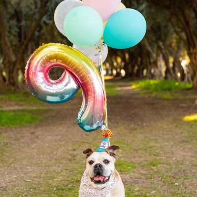 Rainbow 32 Number Balloons Number Balloons, Giant Number Balloons ...