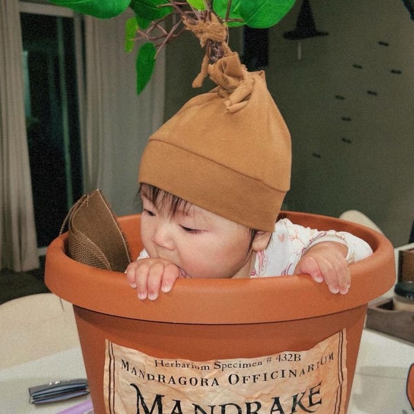 Realistic Mandrake Label, Printable Sticker Prop Potter Herbology - Etsy