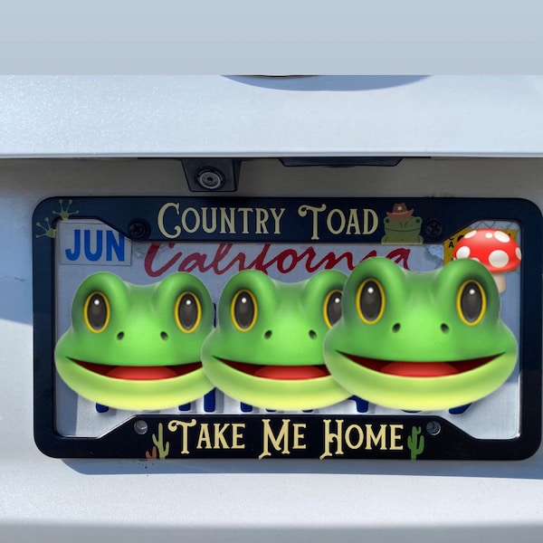 Taylor's Version Car License Plate Frame With Star Designs, Taylor ...