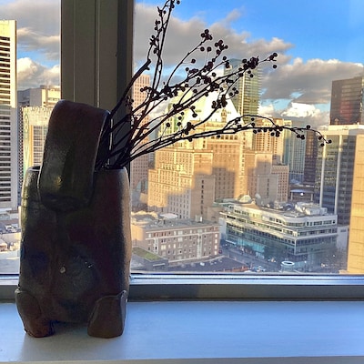 Preserved Lycopodium Bunchdried Princess Pine Grassdried Flowers ...