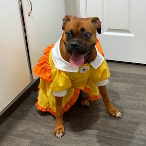 Princess Daisy Pet Costume From Super Mario Brothers XS-XL - Etsy