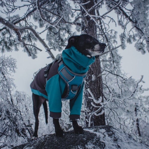 Beaded Fish Earrings, Coho Salmon Beaded Earrings, Rainbow Trout ...