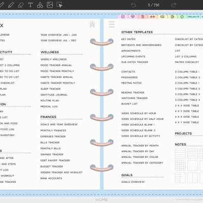 Onenote Digital Planner Templates Finance Template Finance Inserts ...