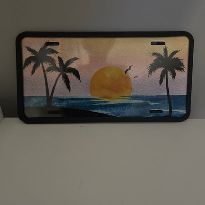 Cool Punk Checkered Skull License Plate Unique Car Accessories for Him ...