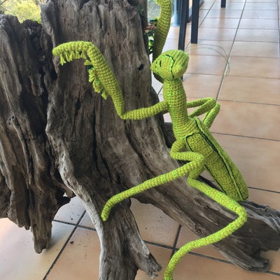 Praying Mantis Crochet Pattern - Etsy
