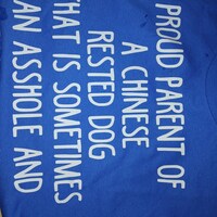 Fraud Investigator Mug, Fraud Investigator Gifts, Gift for Fraud ...