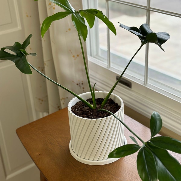 Modern Spiral Plant Pot With Drainage and Drip Tray, Unique Planter ...