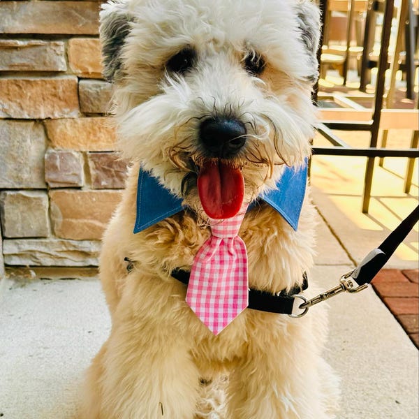 Handmade | Navy Style | Cat Dog Bandana| Cat Dog Bib | Puppy Collars ...