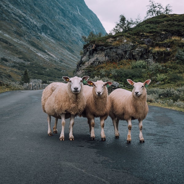 3 - Architecture Presets for Photographers, House Presets, Building ...