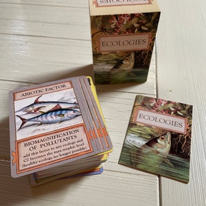 Ecologies Card Game Gameplay Inspired by Nature Use - Etsy