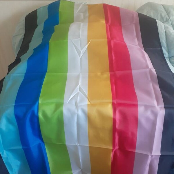 DIGITAL FILE: Printable Extended Pride Flag Reference Guide - Includes ...