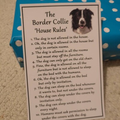 Cat RIP Still Loved Verse, Cat Loss, Remembrance, Sympathy, Condolences ...